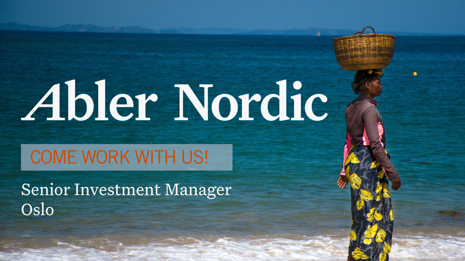 Are you our next Investment Manager? | Abler Nordic